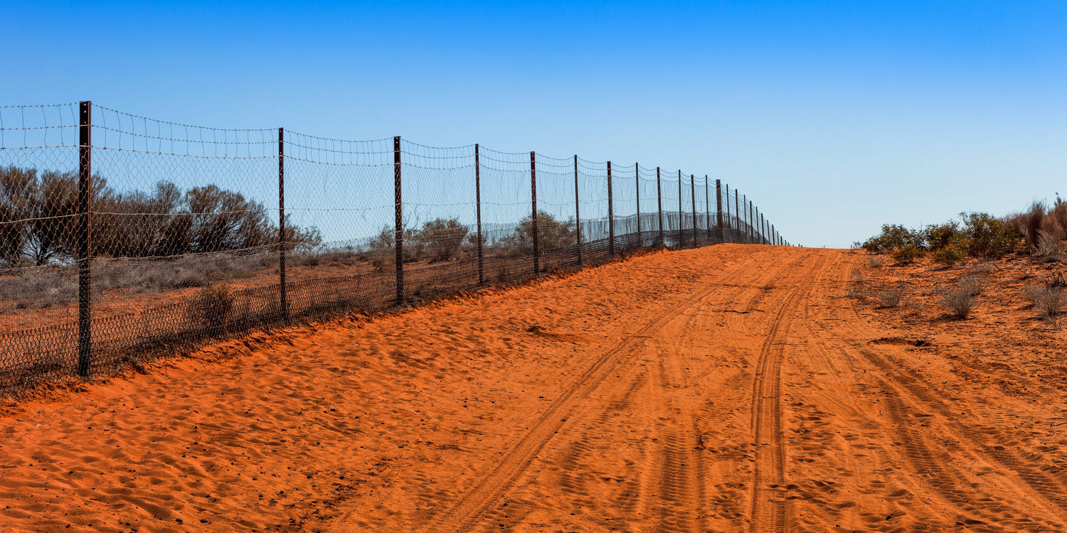 Outback Fencing and Steel Supplies